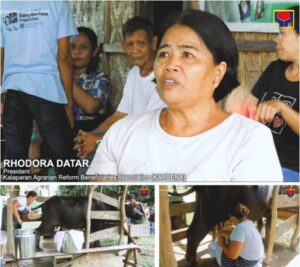 Sustainable Livelihood Program Boosts Carabao Milk Business in Davao ...